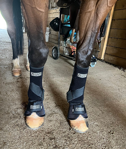 Horse Boots | Carroll Equine, Llc